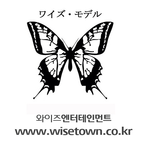 와이즈엔터테인먼트 기업, 채용, 투자, 뉴스