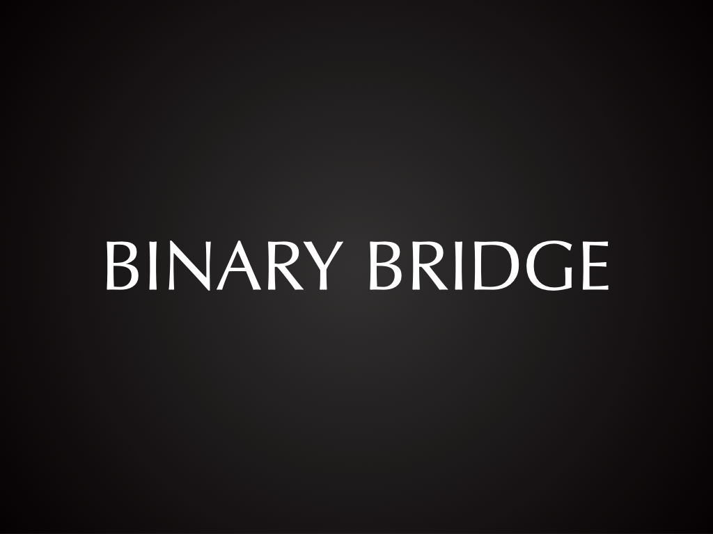 바이너리브릿지(binarybridge) | 채용, 회사소개, 연봉, 매출, 직원