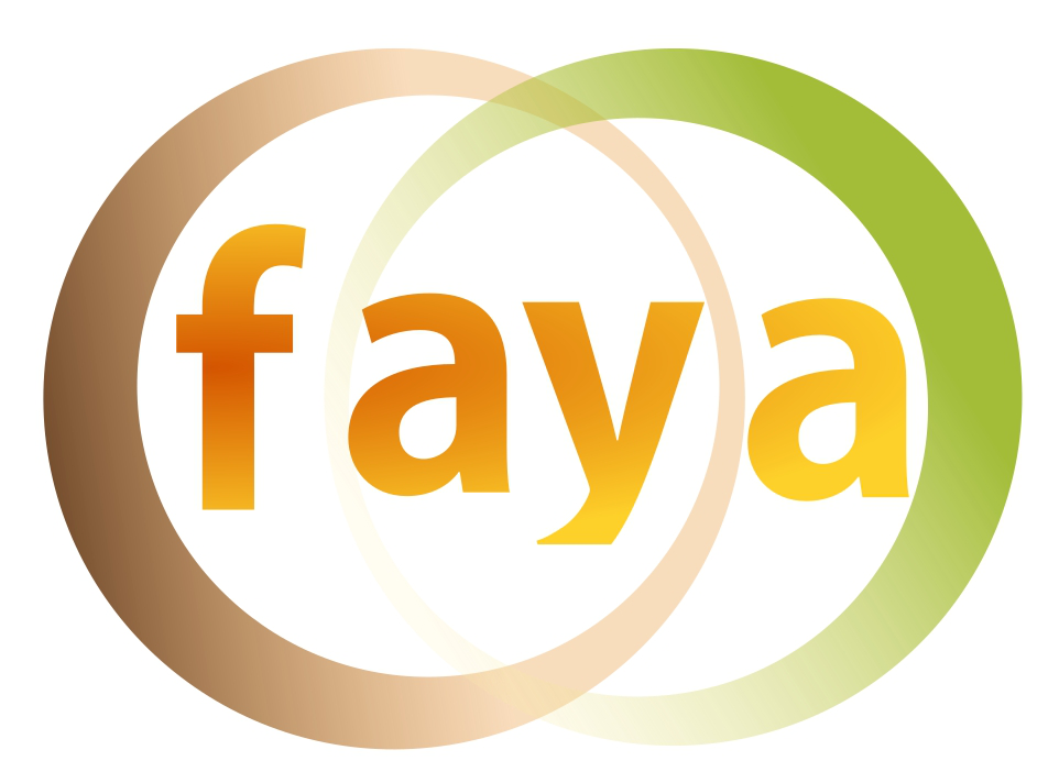 파야(시빌라) 기업, 채용, 투자, 뉴스