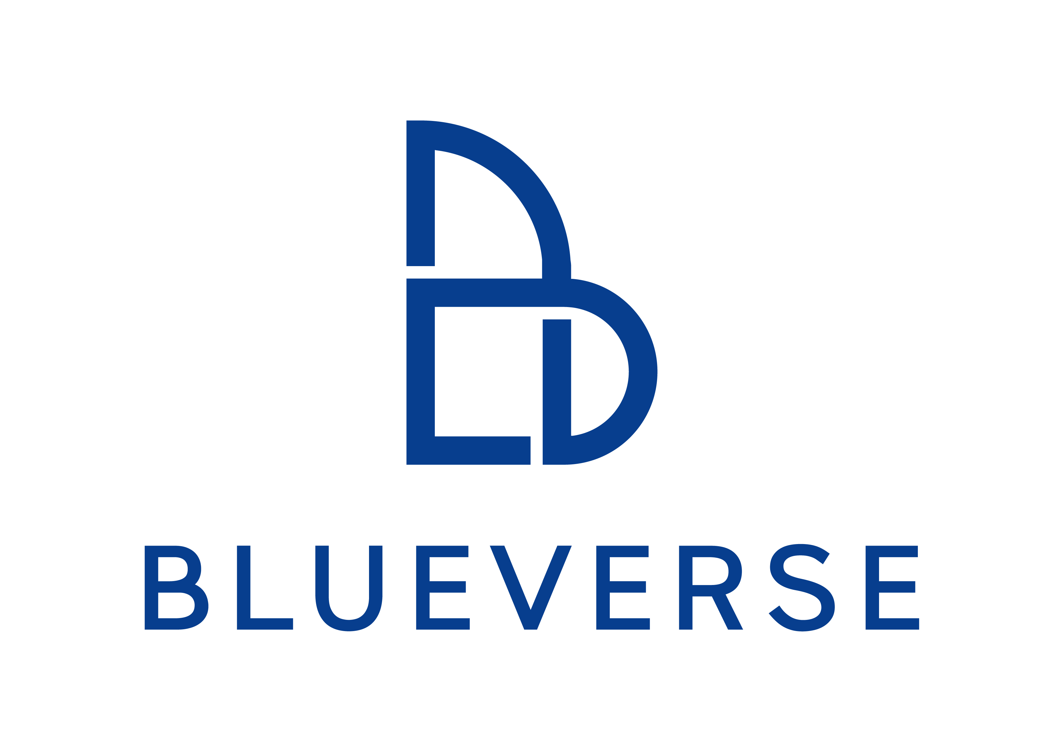 블루버스(blueverse) | 채용, 회사소개, 연봉, 매출, 직원