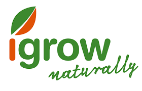 아이그로우 채용 정보