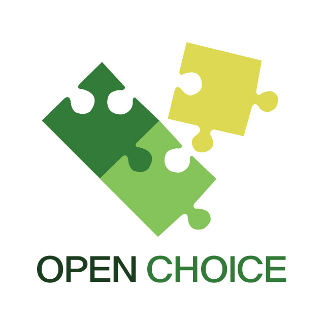 오픈초이스(openchoice) | 채용, 회사소개, 연봉, 매출, 직원