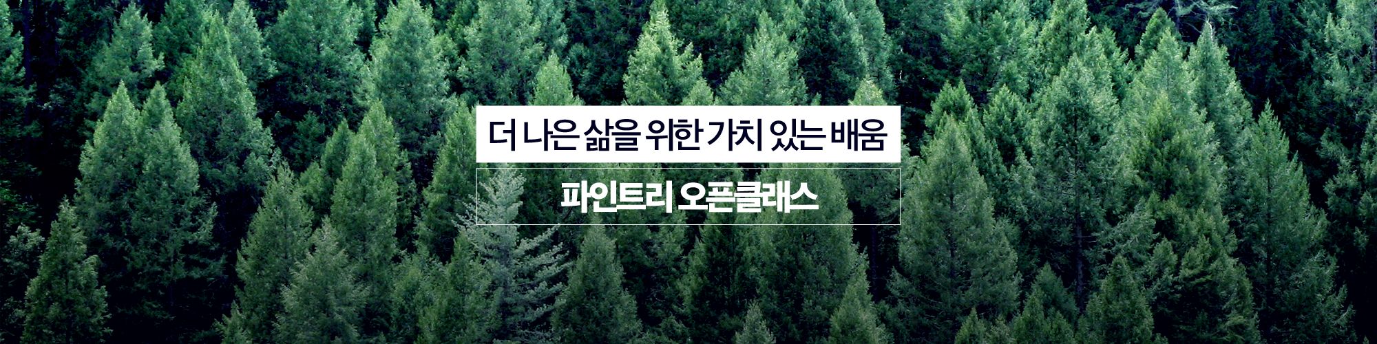 파인트리오픈클래스(pinetreecompany) | 채용, 회사소개, 연봉, 매출, 직원