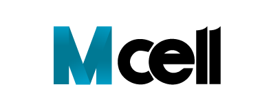 엠셀(히트플렉스) 기업, 채용, 투자, 뉴스