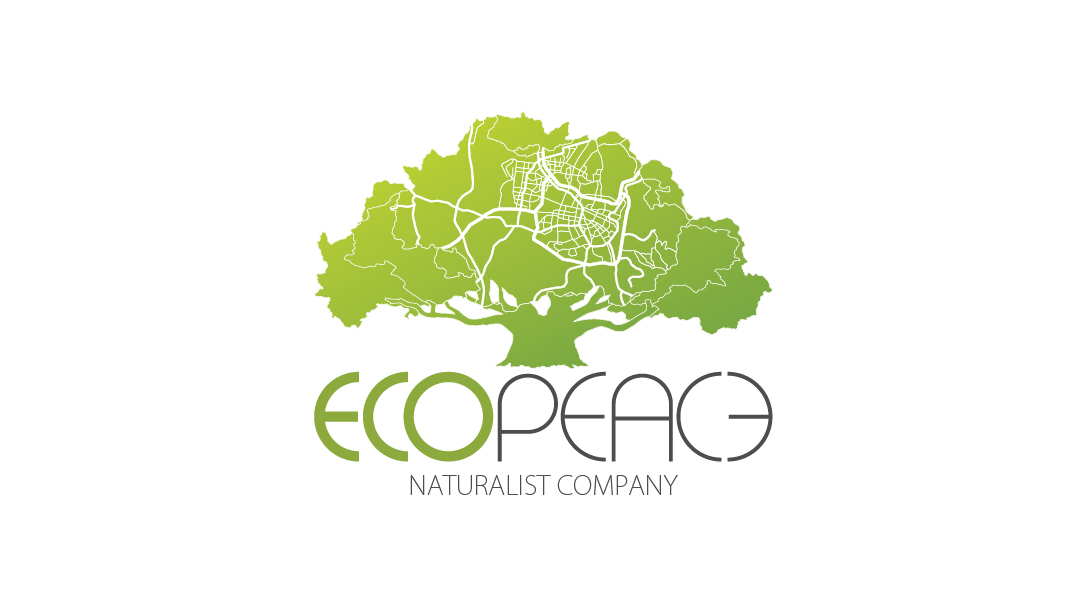 에코피스(Eco PEACE) 기업, 채용, 투자, 뉴스