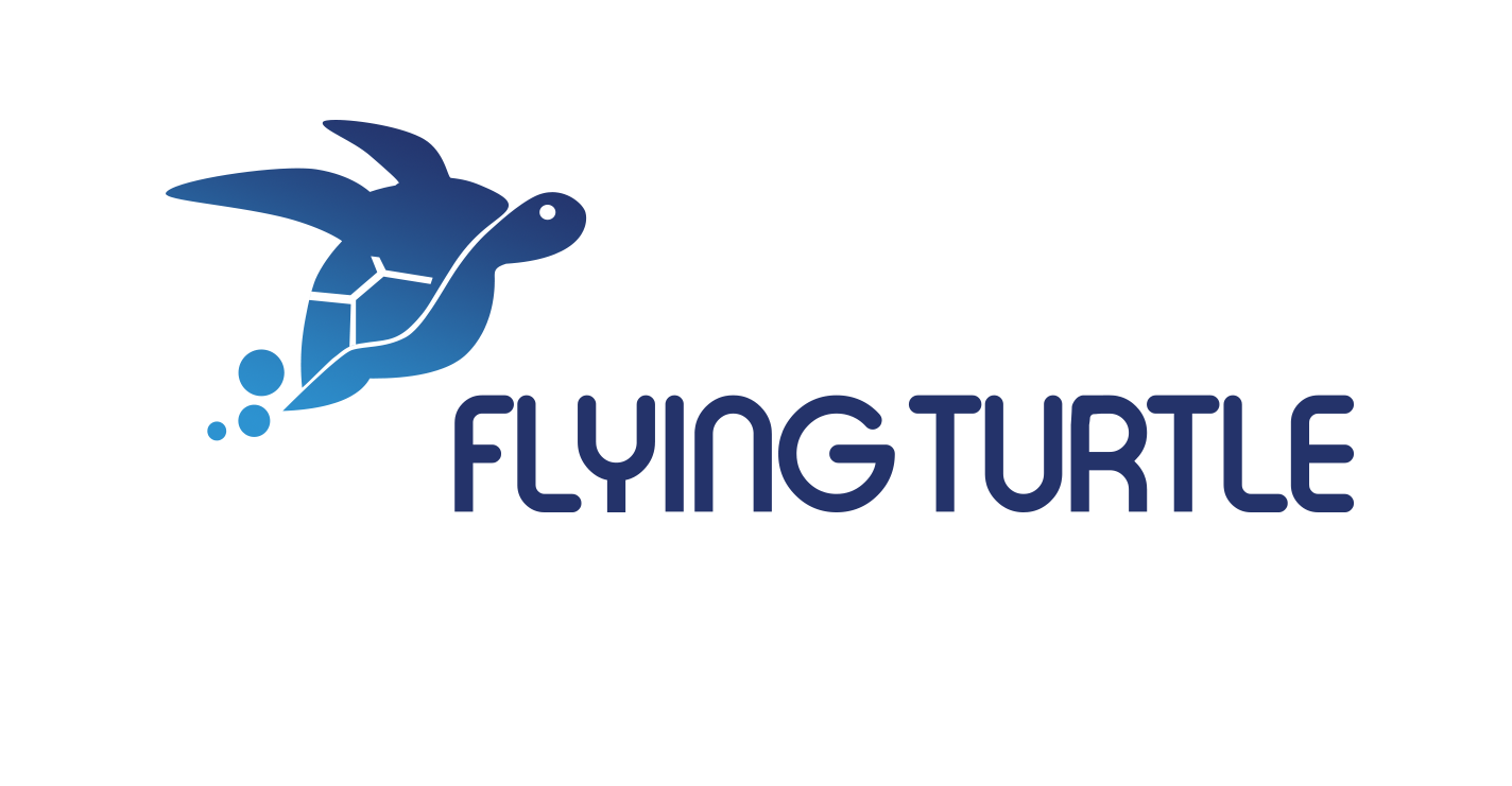 플라잉터틀(flyingturtle) | 채용, 회사소개, 연봉, 매출, 직원