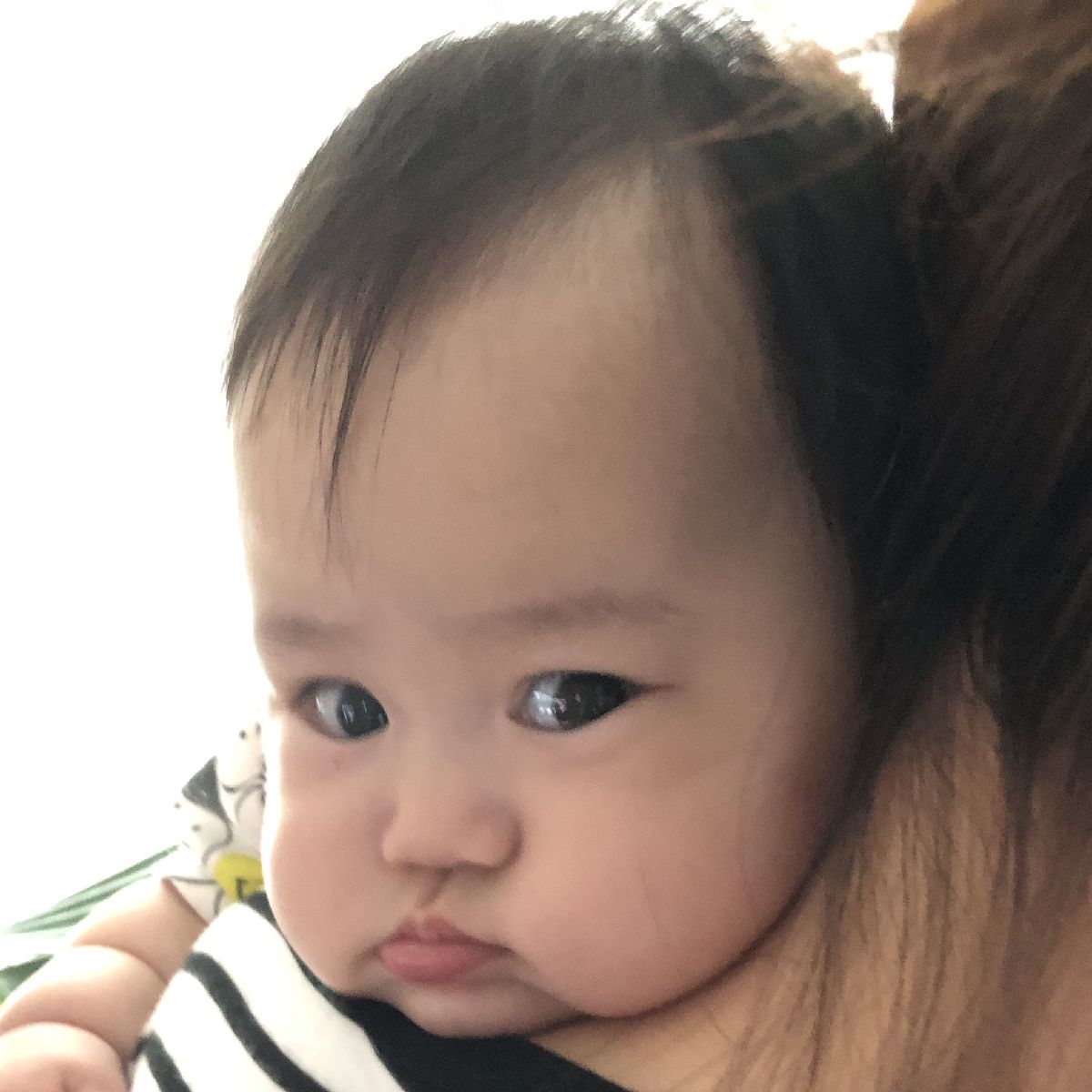 쿵쿵 | 미라클플랜 경영,기획, 마케팅, 투자유치,관리 | 로켓펀치