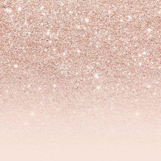 전보연의 경력, 학력 정보