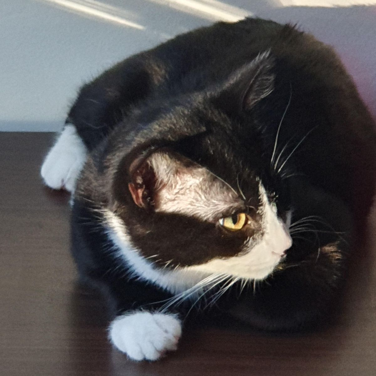 정민정 | 로켓펀치