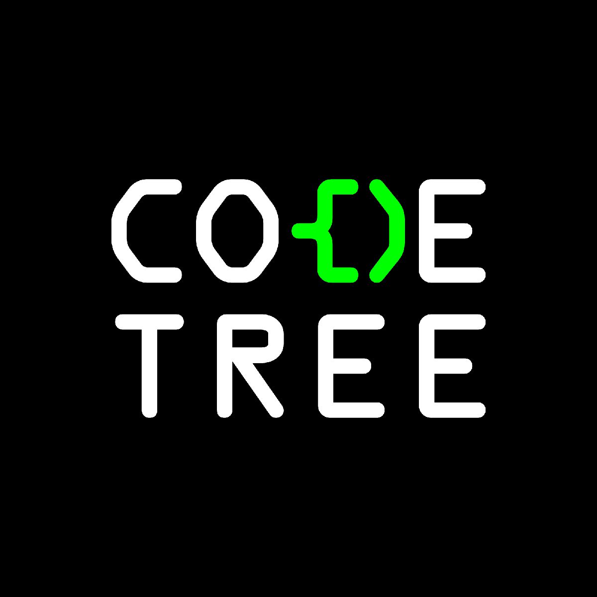 브랜치앤바운드 (CodeTree) 코드트리 운영자의 경력, 학력 정보